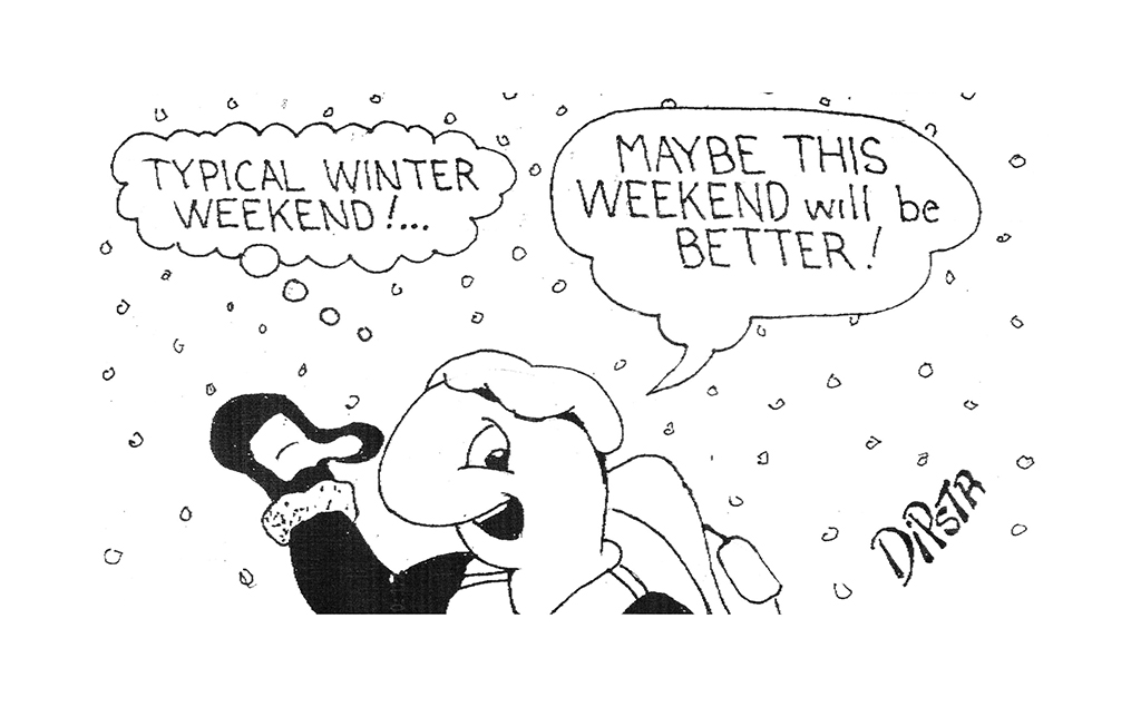 Weekly Cartoon - The Turtle Island News