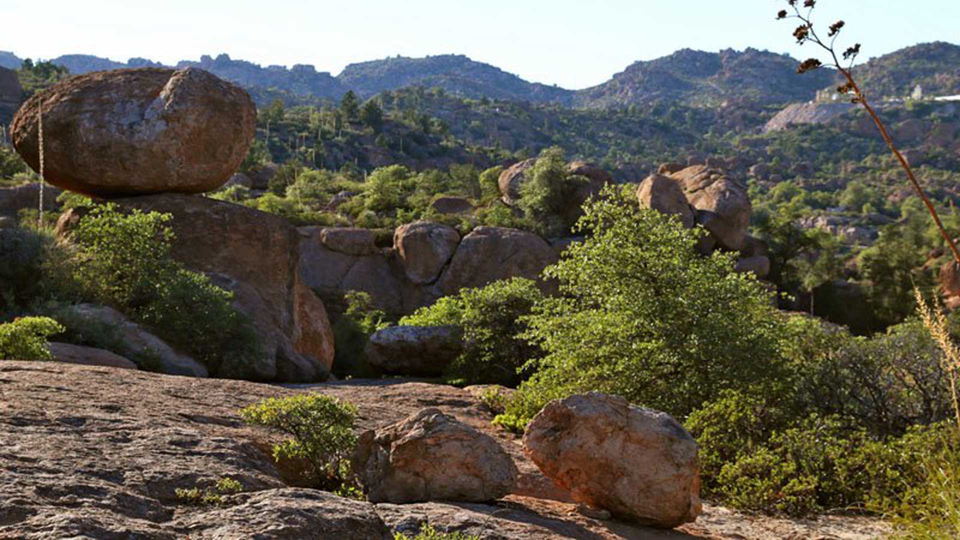 How Apache Stronghold's fight to protect Oak Flat in central Arizona ...
