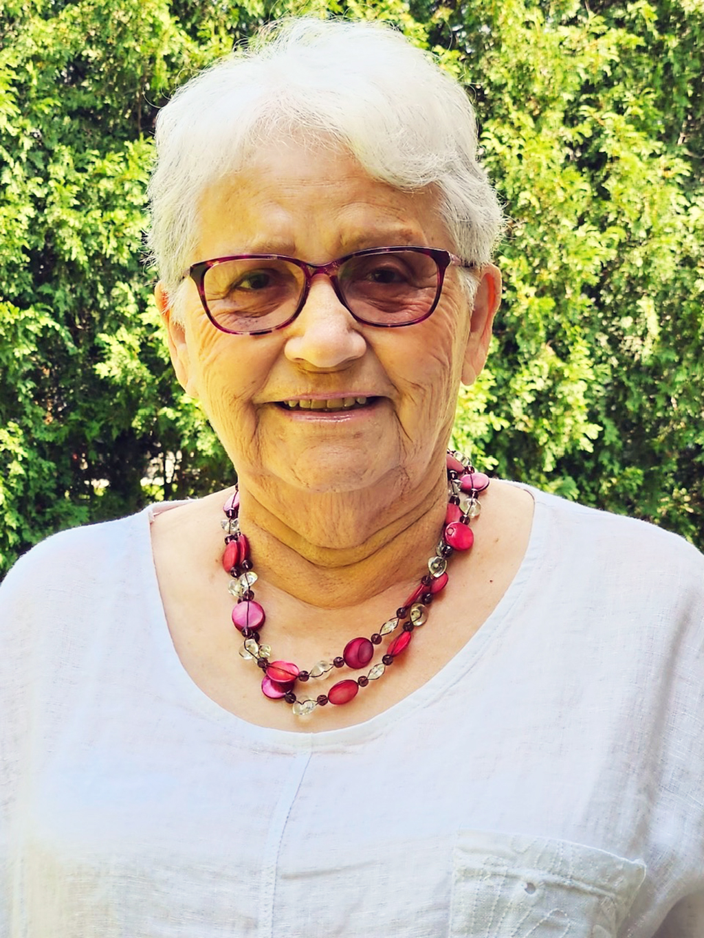 Six Nations Councillor: a lifetime of local politics - The Turtle ...